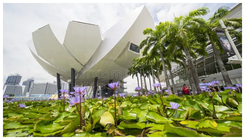 Must-Visit: ArtScience Museum lotus shape building lily pond in ...