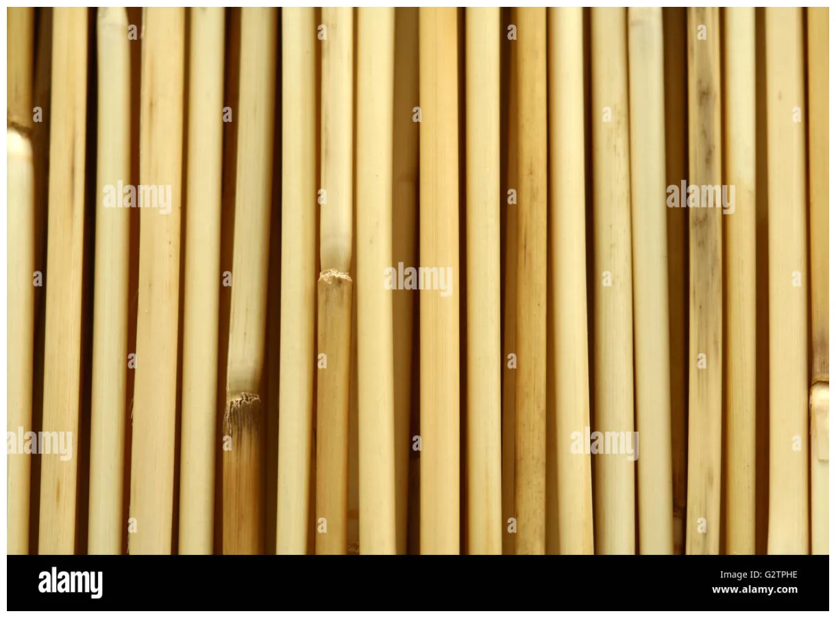 Taste of Asia: Bamboo grove green vertical lines pattern Culinary Guide