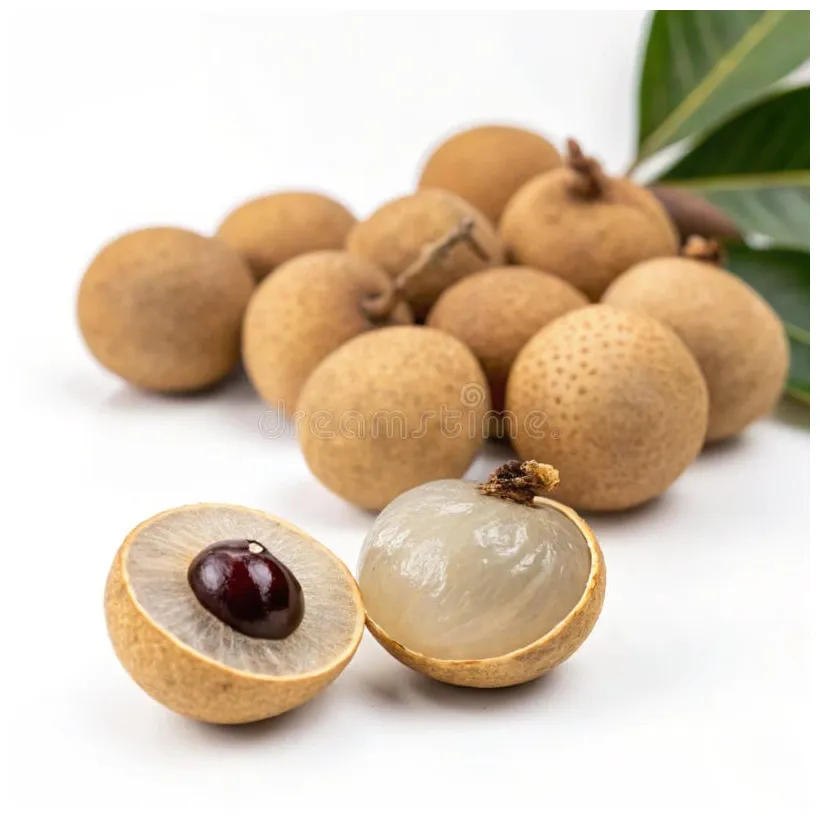 Must-Visit: Longan fruit bunches sweet translucent flesh in Southeast Asia