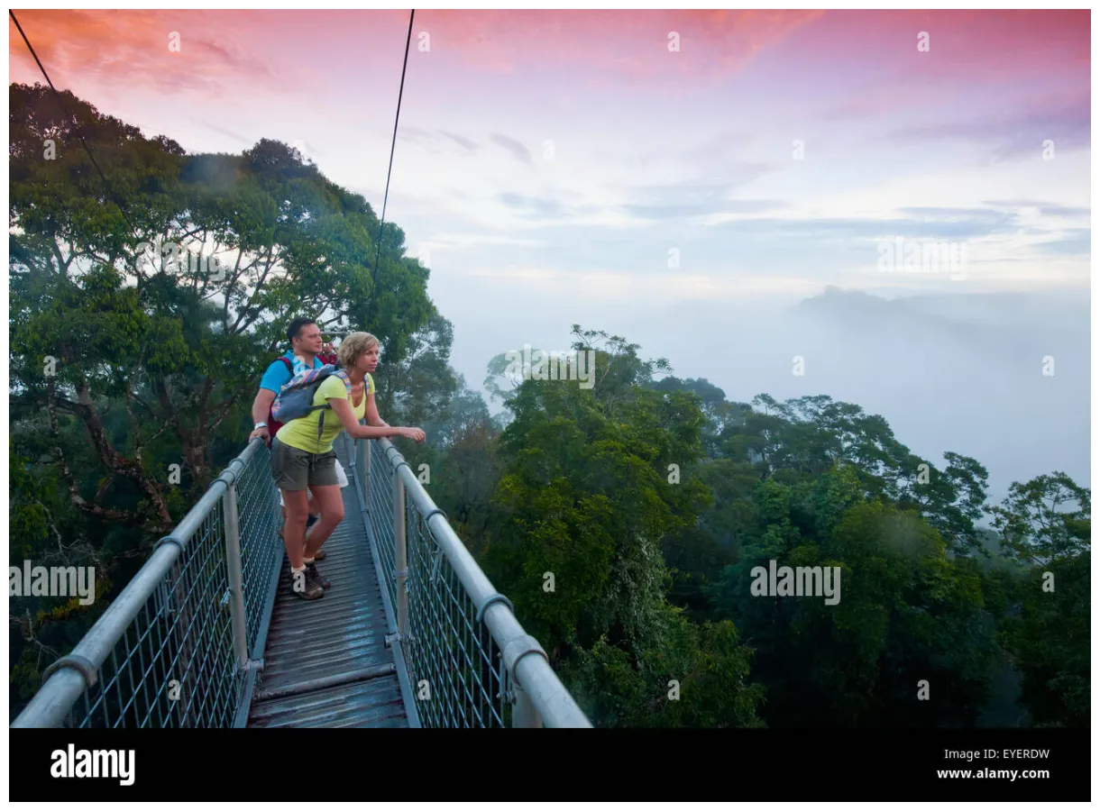 Ulu Temburong National Park canopy walk rainforest view - Ultimate ...
