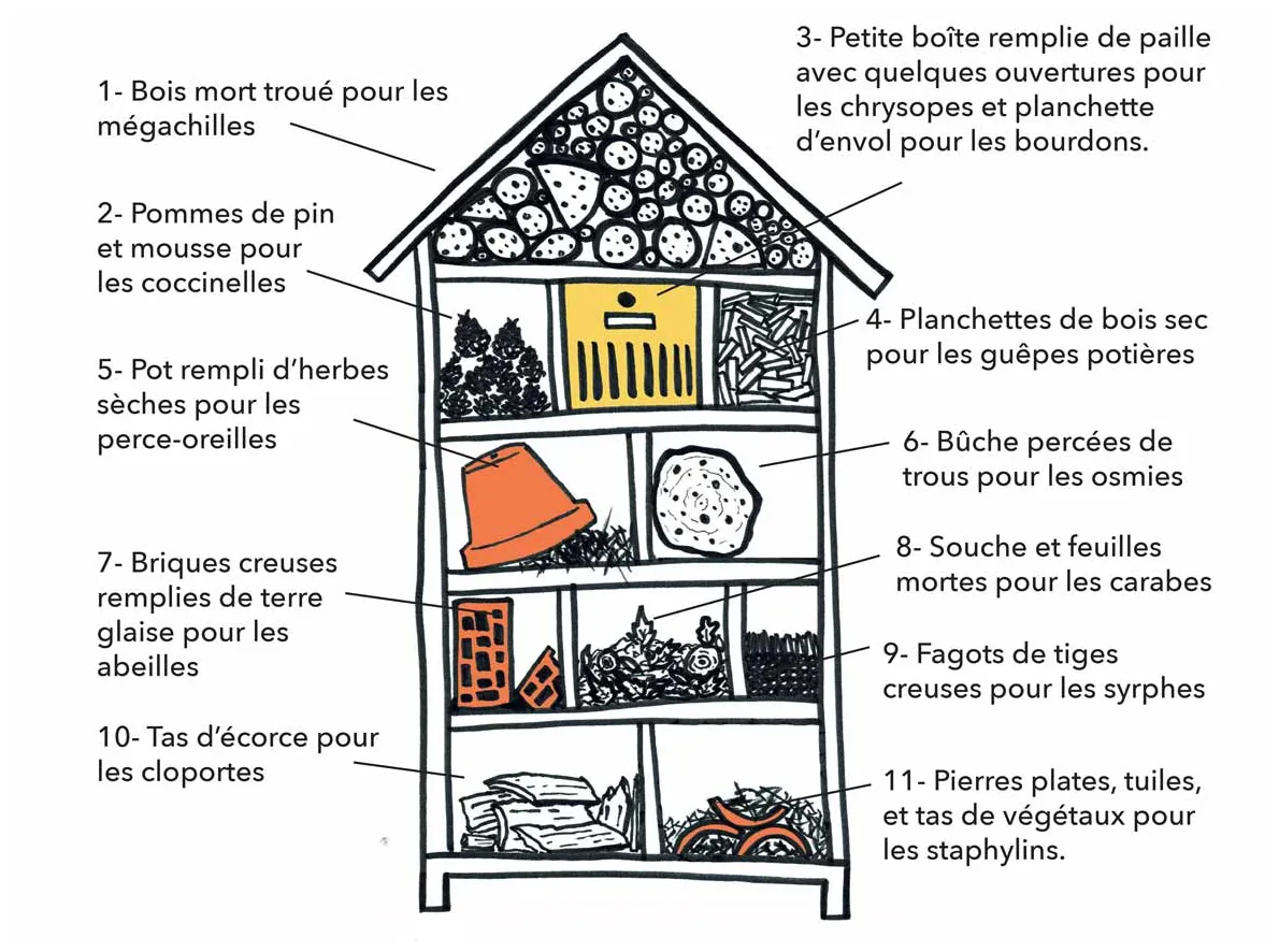 Réaliser un Plan phytoépuration avec hôtel insectes AMAP : Guide Photo