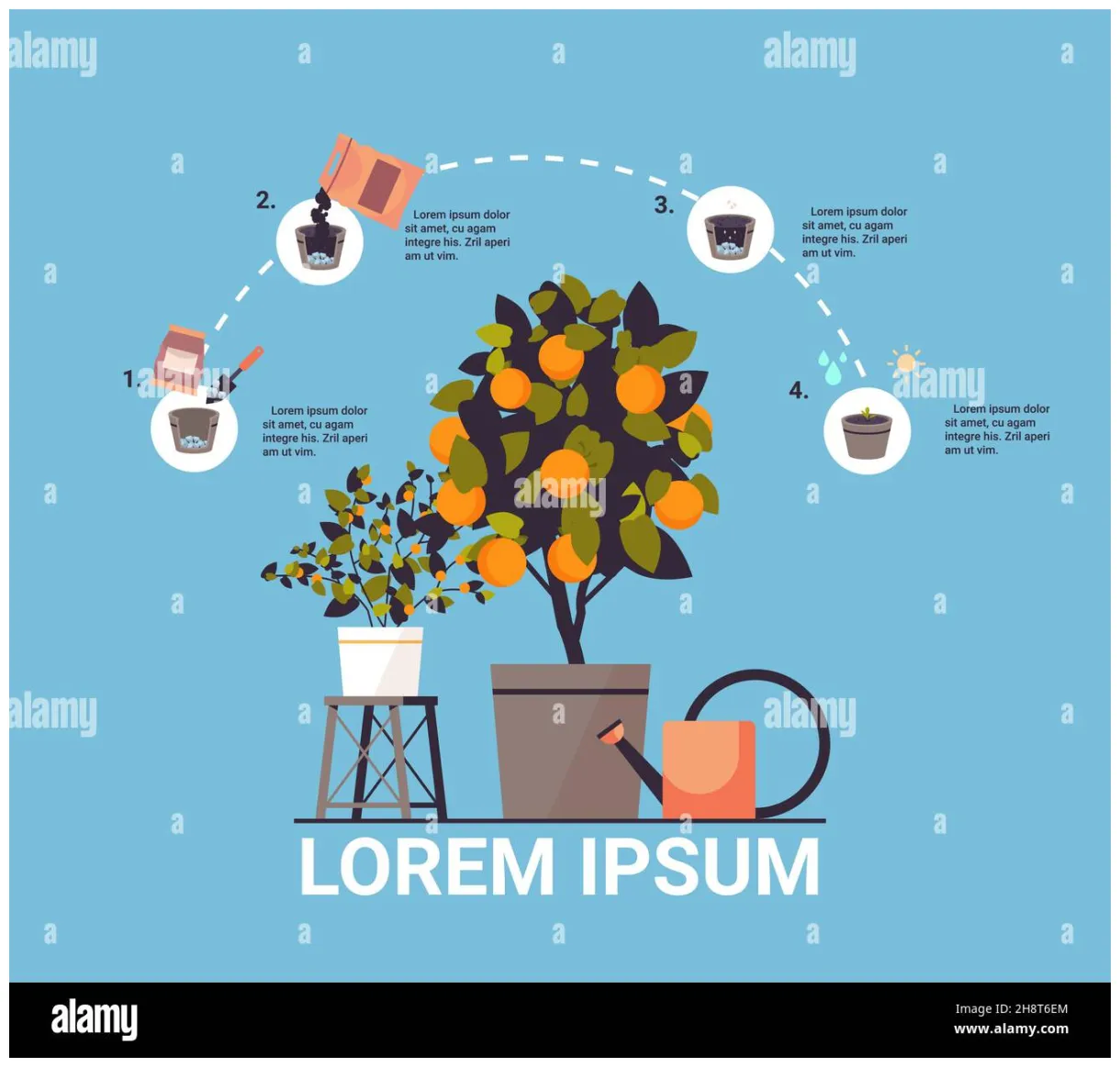 Décoration Jardin : Focus sur Schéma de plantation pour experts travail