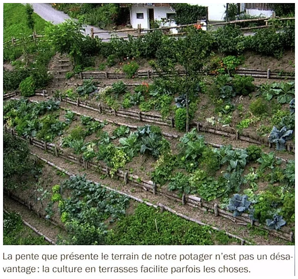 Réaliser un Structure de potager terrain accidenté bien-être : Guide Photo
